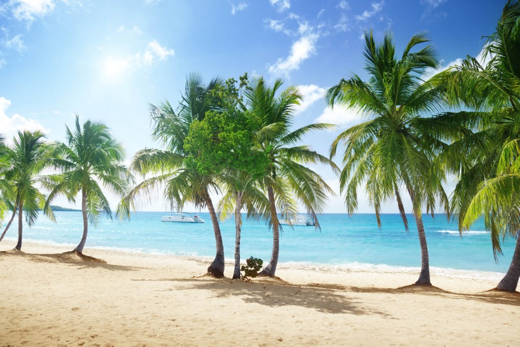 Flight deals from Dusseldorf, Germany → Punta Cana, Dominican Republic ...