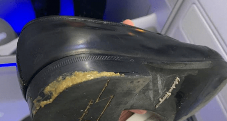 Delta Air Lines passenger forced to sit in dog poo
