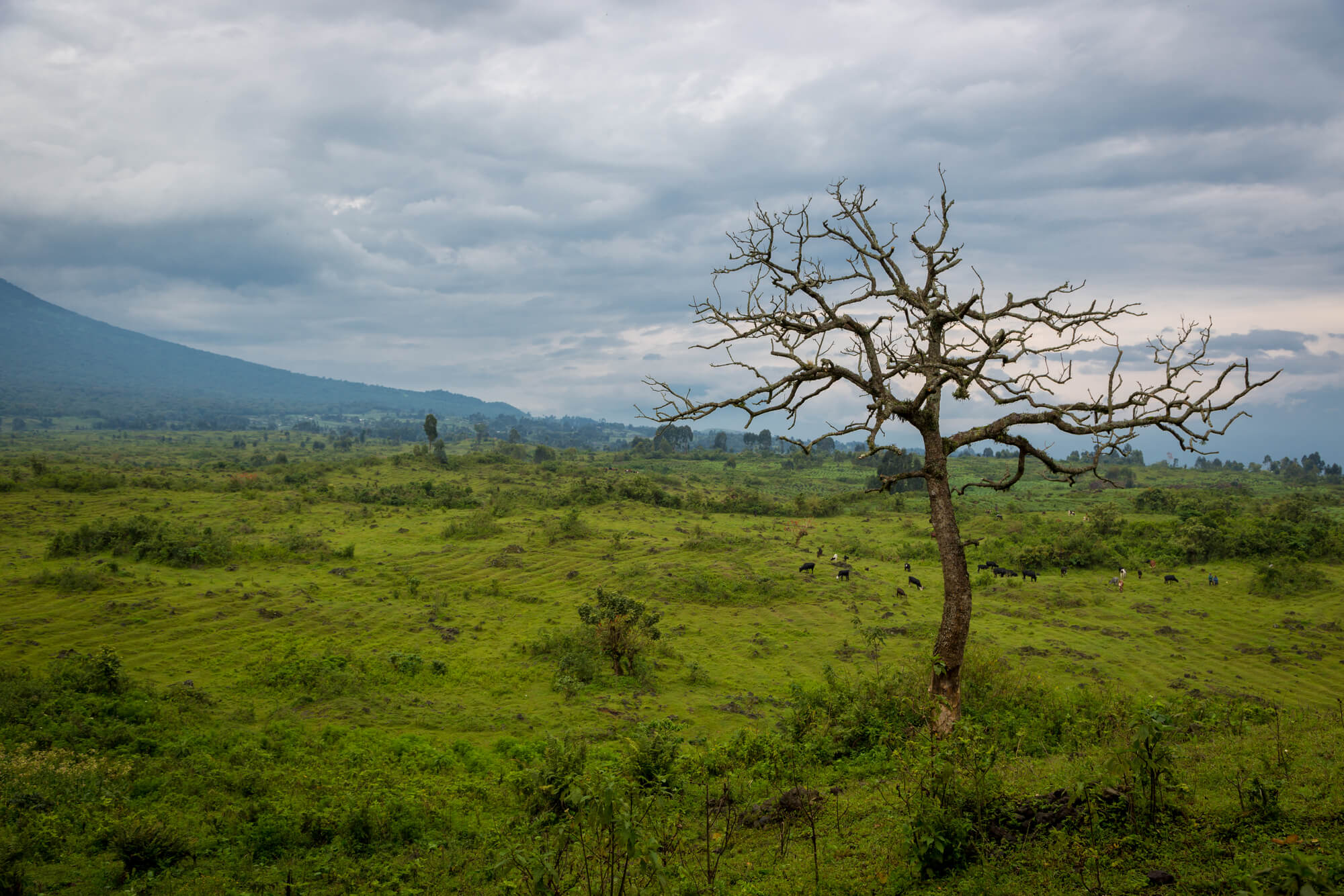 European cities to Kinshasa, Democratic Republic of Congo from only € ...