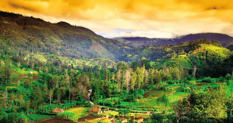 Non-stop from Manila, Philippines to Papua New Guinea for only $329 USD ...