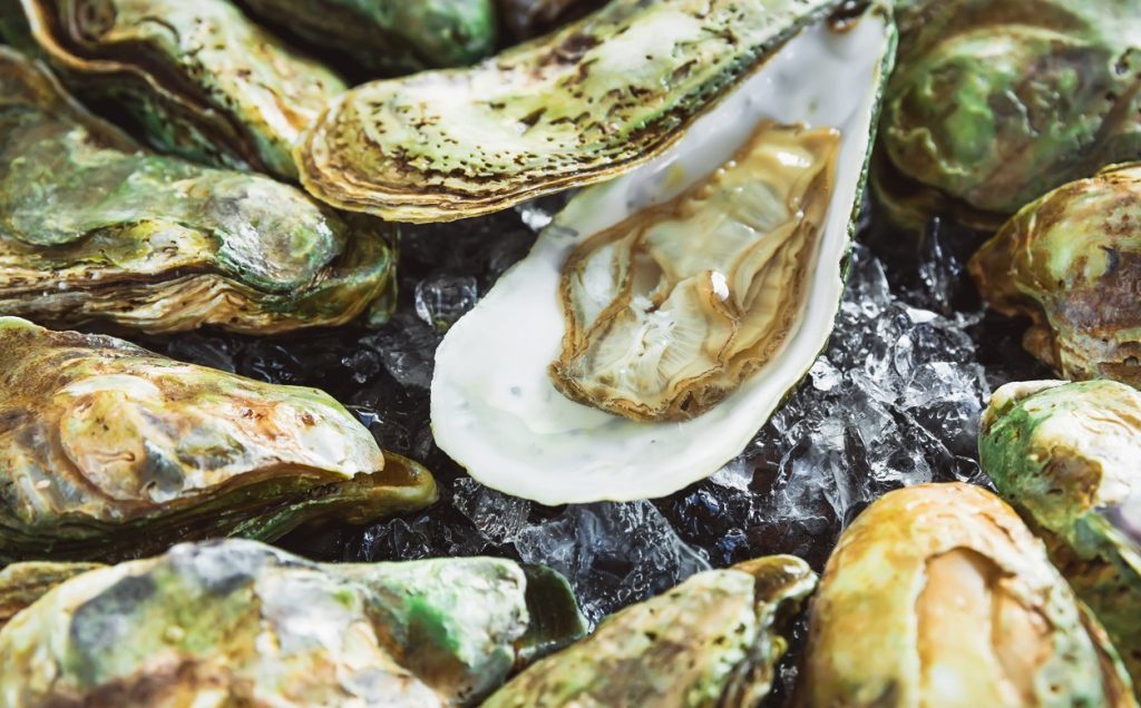Denver Food Guide – What to Eat, Local Dishes & Dining Tips (2026)