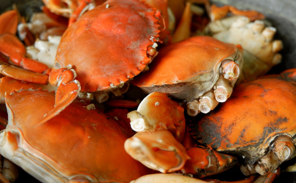 Baltimore Food Guide – What to Eat, Local Dishes & Dining Tips (2026)
